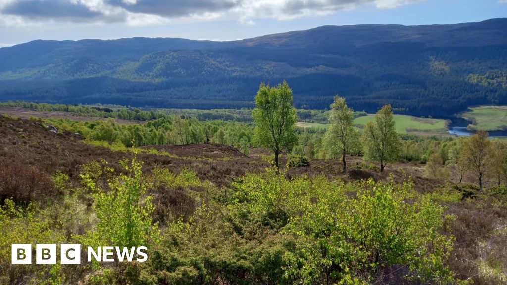 Forest near Loch Ness gets special European status