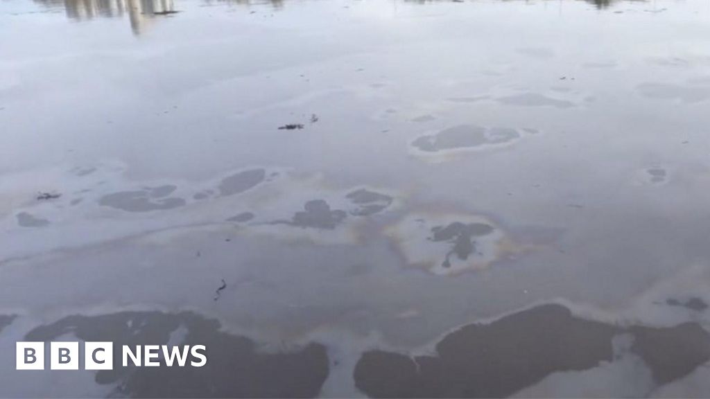 Fuel oil 'likely flushed into river by heavy rain'
