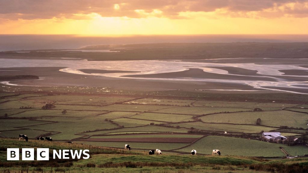Duddon Estuary farmer's tourism hopes as rural grants end - BBC News