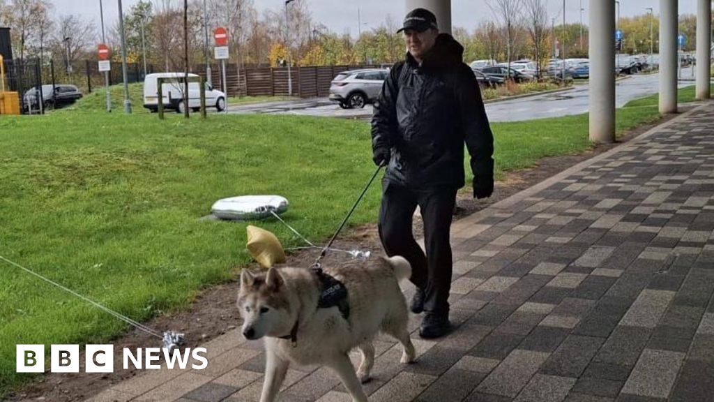 Beloved police husky honoured in final charity walk - BBC News
