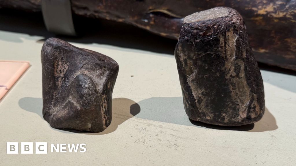 The island of Ireland's only dinosaur bones - BBC News