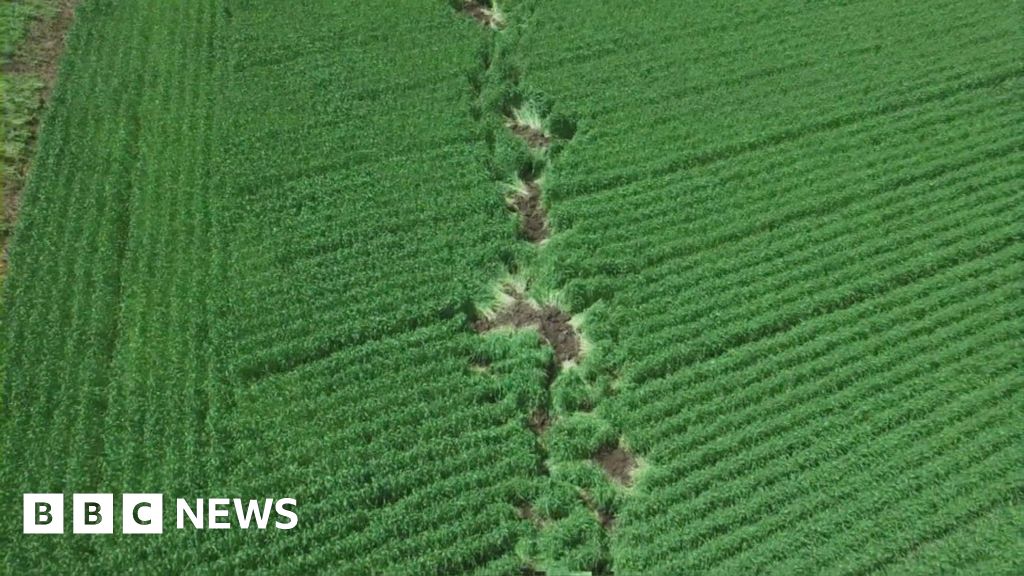 Japan earthquake fault line 'moved two metres' - BBC News