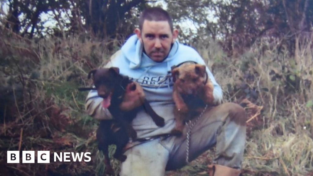 Dog fighting: Man bought cats on Gumtree as live bait - BBC News