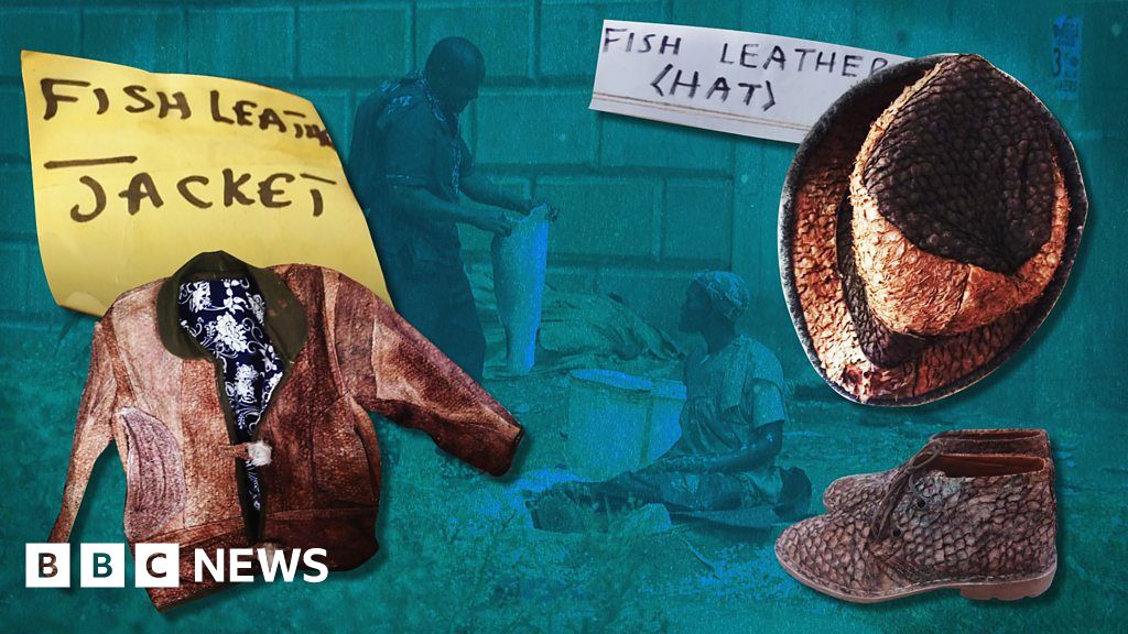 The Kenyan man making leather jackets out of fish skins - BBC News