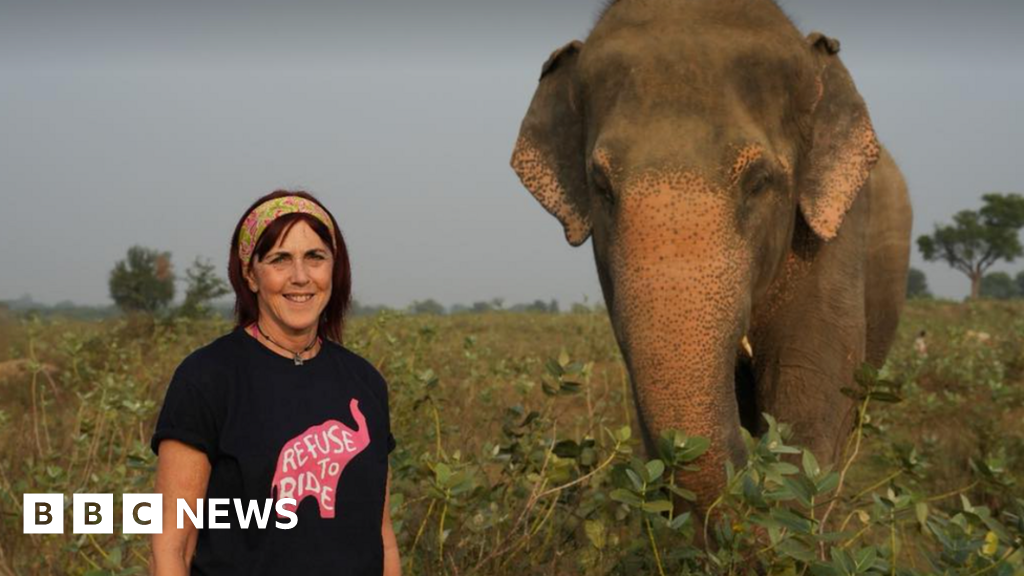 Stoke-on-Trent elephant charity aims to take volunteers to India - BBC News