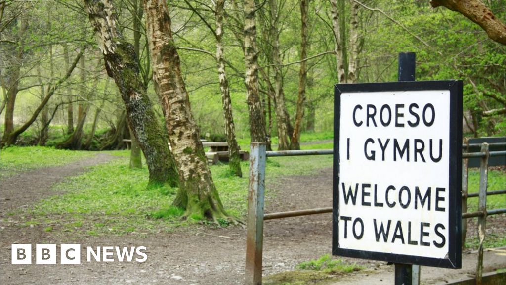 Forest planting: Plan for trees across 'length of Wales' - BBC News