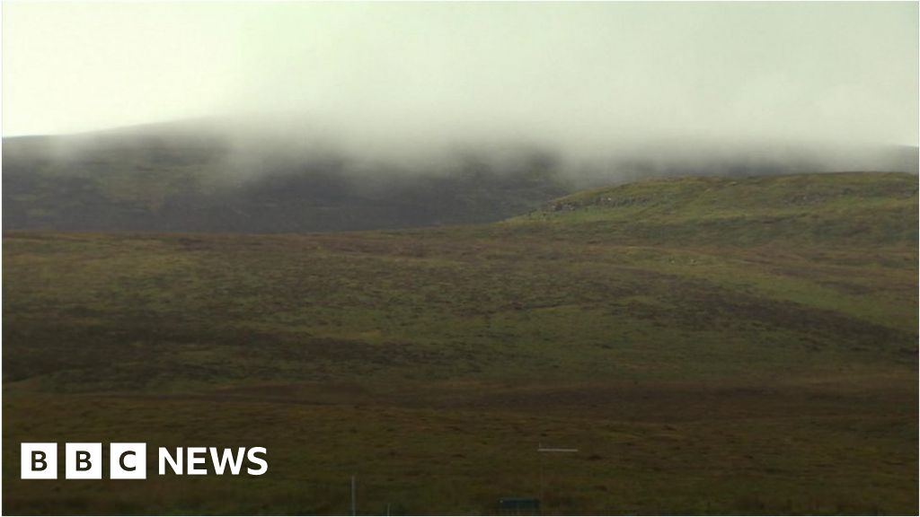 Bog restoration project boosts Northern Ireland wildlife - BBC News