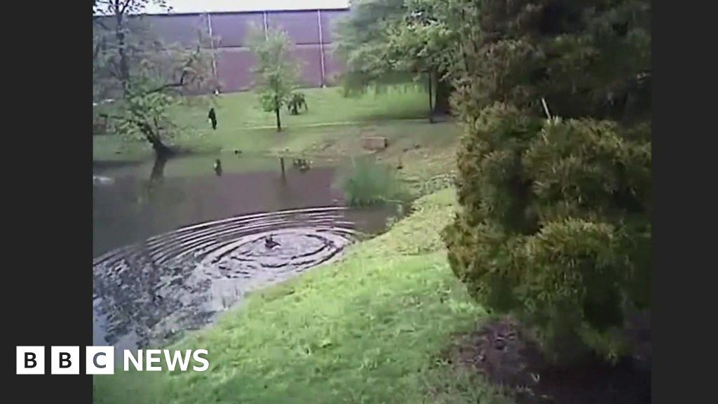 Kansas officer rescues drowning boy - BBC News