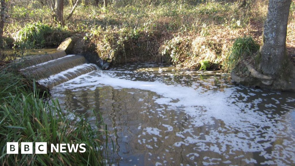 Plumpton College fined £50,000 for slurry pollution - BBC News