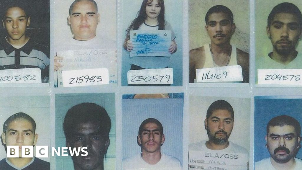 How police line-ups jail the innocent