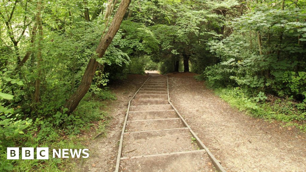 Box Hill: Steps to summit of Surrey beauty spot given upgrade - BBC News
