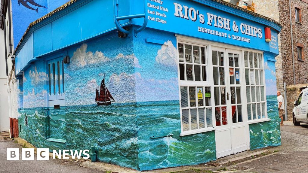 Murals unveiled around Brixham as part of community project