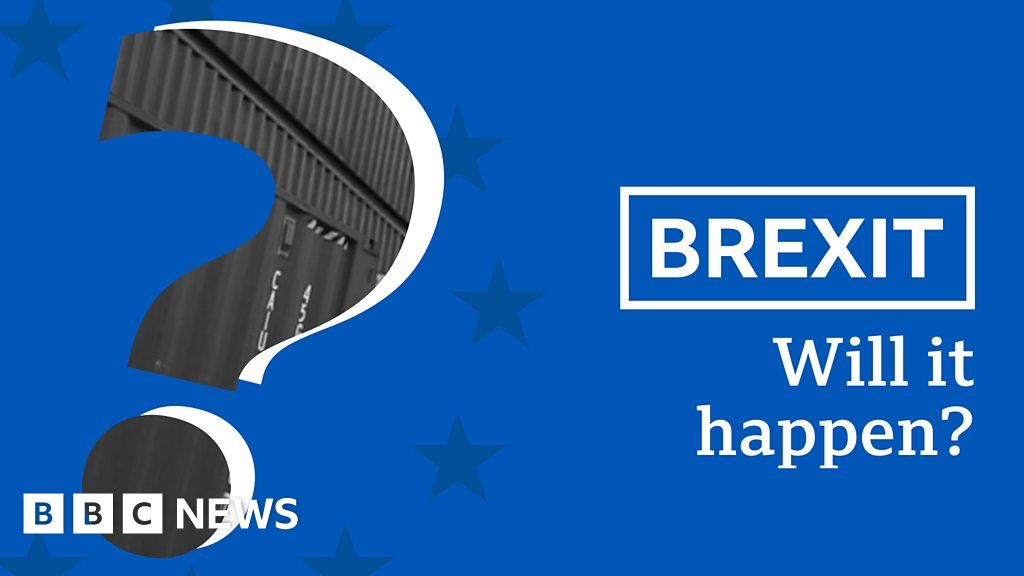 Brexit explainer: What are the options available for the UK? - BBC News