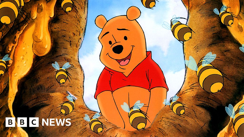 Quiz: Where is Winnie the Pooh in trouble? - BBC News
