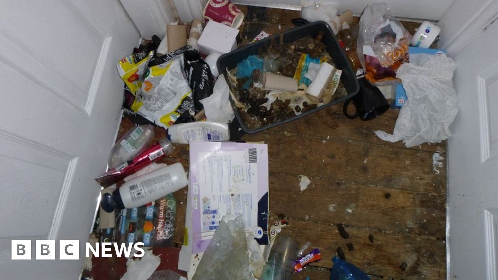 Bradford woman who starved cats to death banned from keeping animals