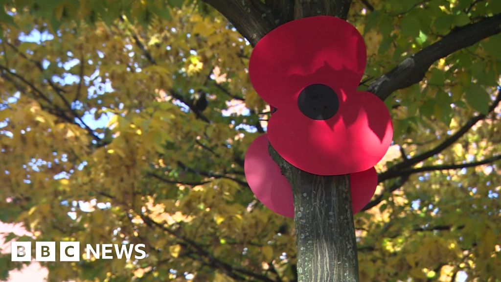 Stalybridge lamppost poppy ban over 'safety risks' - BBC News