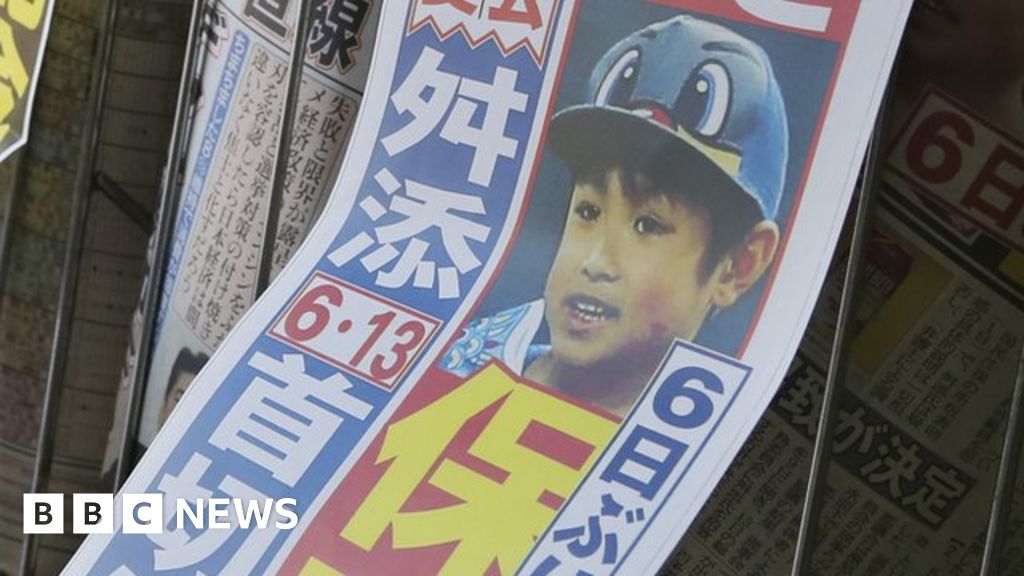 Missing Japanese boy found alive in Hokkaido - BBC News