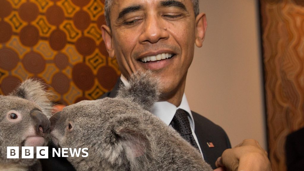 Obama's 'historic' conservation legacy beats Teddy Roosevelt - BBC News