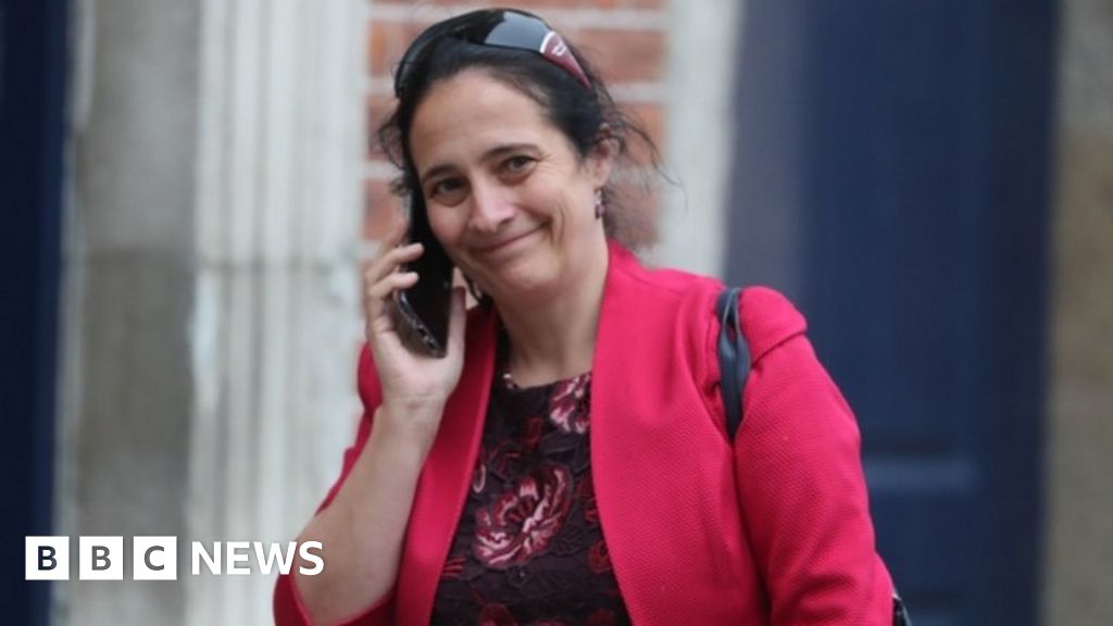 Catherine Martin: The woman hoping to lead Ireland's Green Party