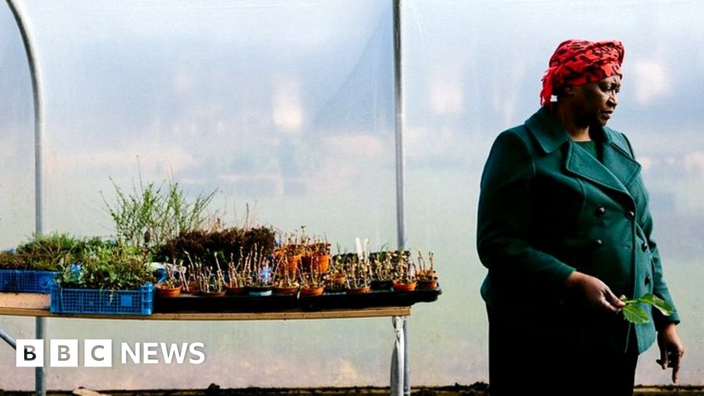 Refugees find new roots through the power of gardening