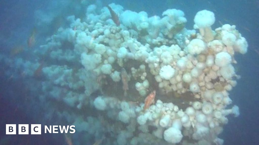 USS Conestoga wreckage found off California after 95 years - BBC News