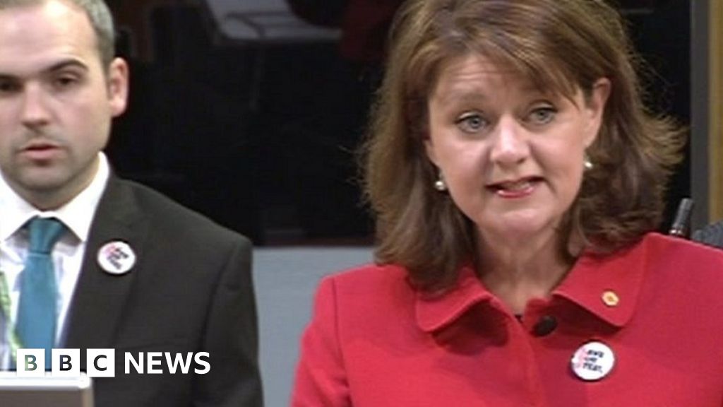 Plaid Cymru's Leanne Wood says Senedd has been too cosy - BBC News