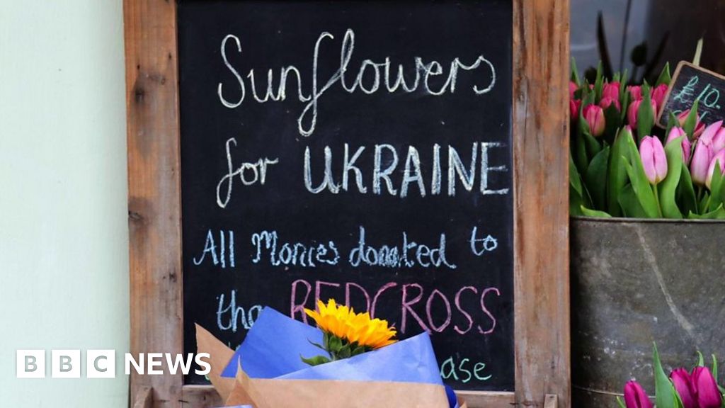 Sunflowers for Ukraine campaign by Bristol florists raises thousands