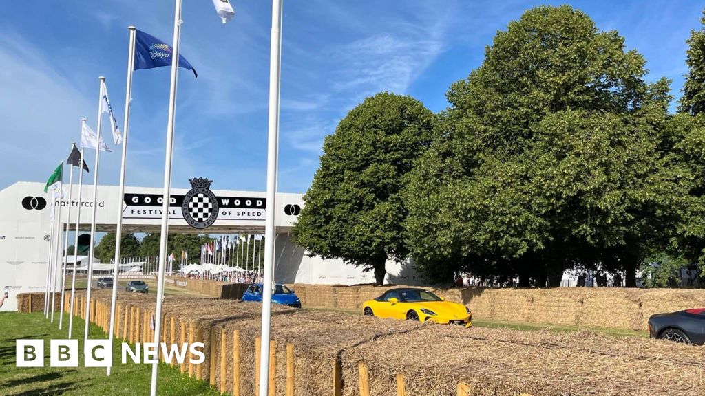 Goodwood Festival of Speed: Fans flock to the West Sussex event