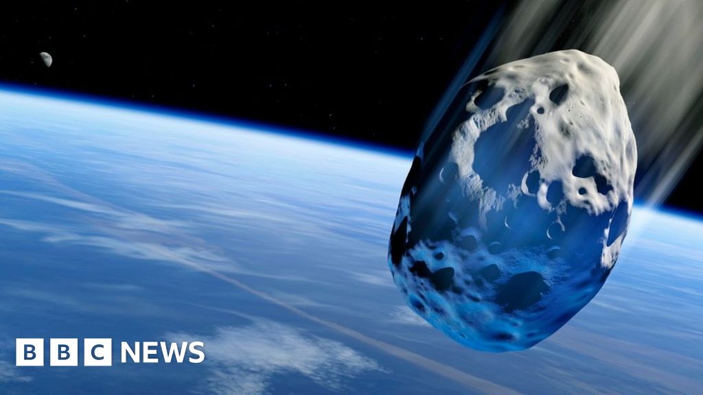 Comet impact 'linked' to rise of mammals - BBC News