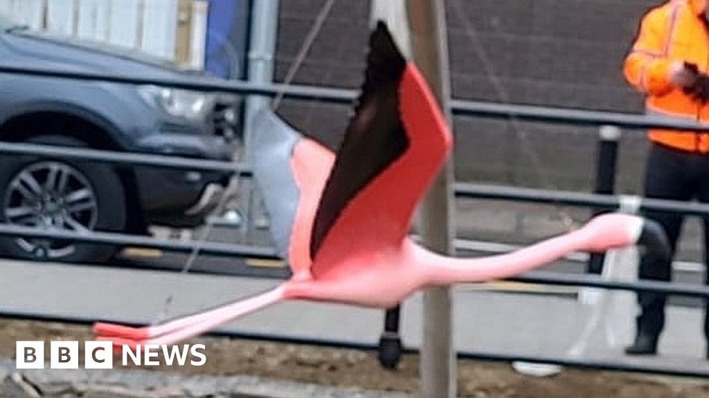 Luton: Return of former Mall flamingos stalls - BBC News