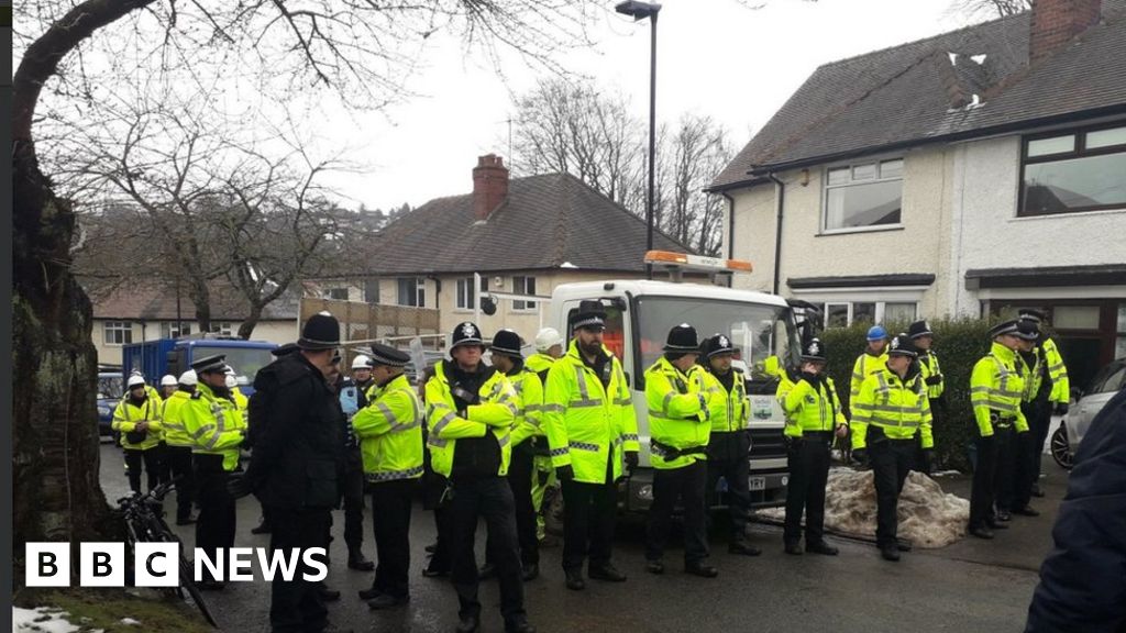 Sheffield trees: Protest policing defended after 'escalation' - BBC News