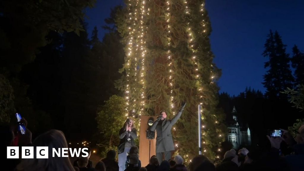 George Clarke lights up UK's tallest Christmas tree in Cragside - BBC News