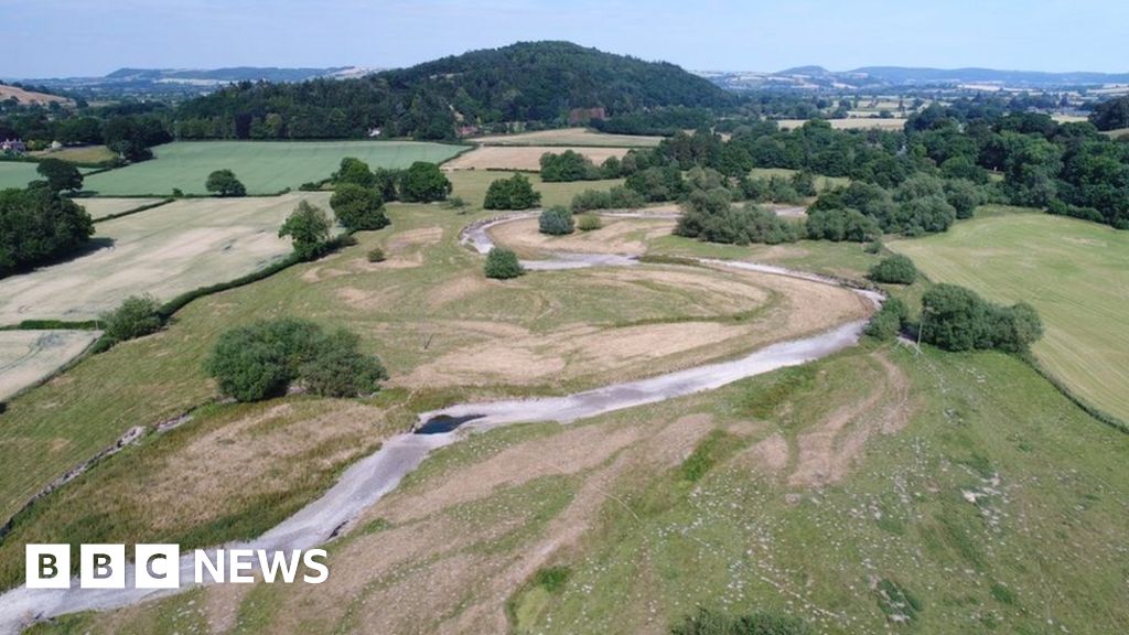UK heatwave: Photos show dramatic impact on River Teme - BBC News