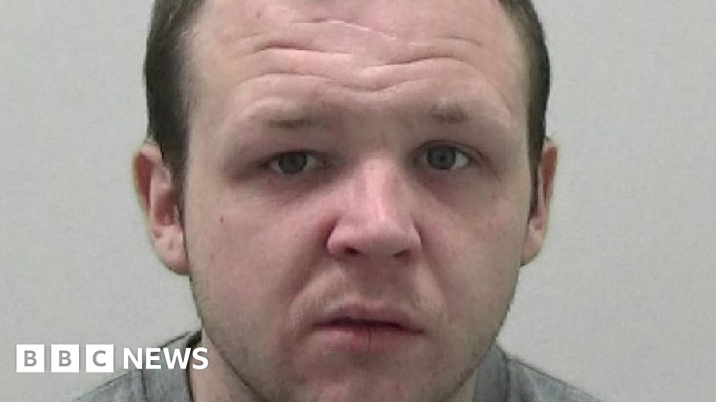 Police praise woman who wrestled hammer burglar - BBC News