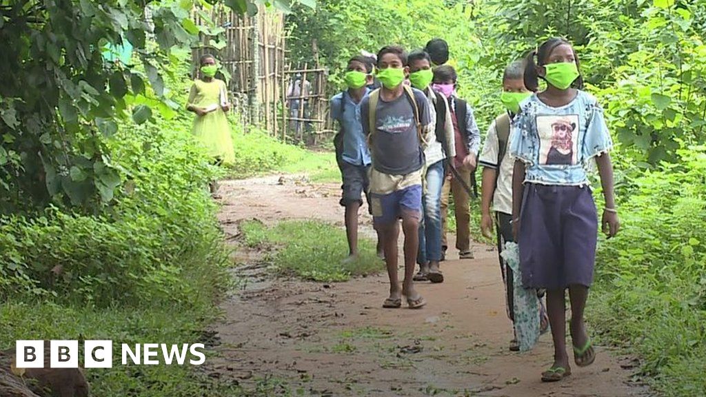 Covid lockdown sees rise of 'barter classes' in Indian villages - BBC News