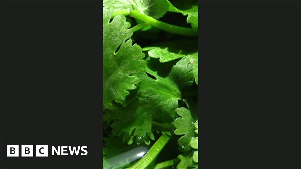 Is it easier to start a conversation around the gripes? - BBC News