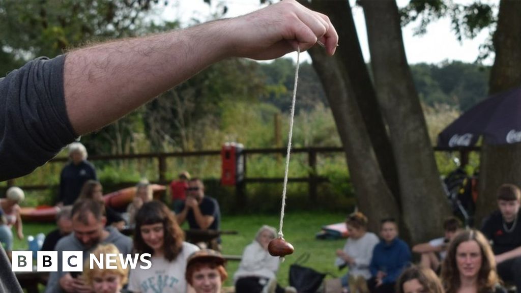 Norfolk-Suffolk border conkers tournament 'encourages cheating' - BBC News