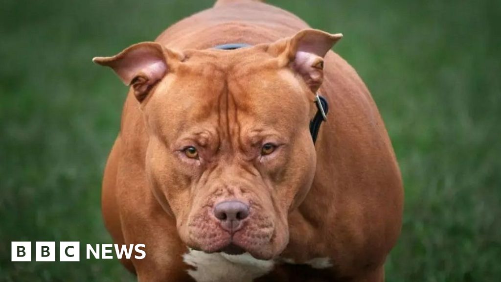 Savannah Bentham, 10, died from dog attack injuries - inquest - BBC News