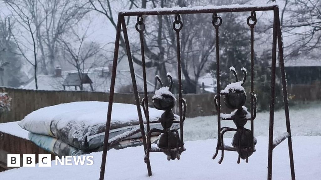 BBC Weather Watchers capture the snow in the East of England - BBC News