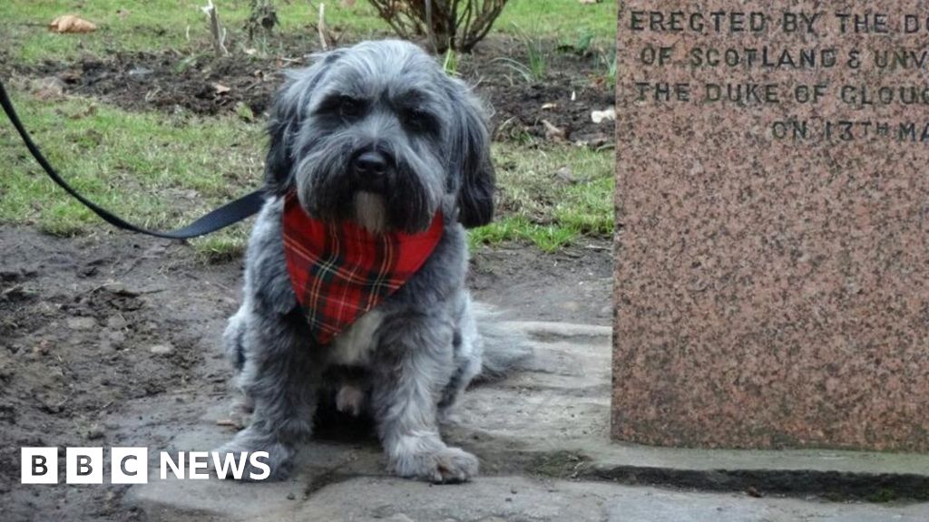 Edinburgh ceremony marks Greyfriars Bobby anniversary