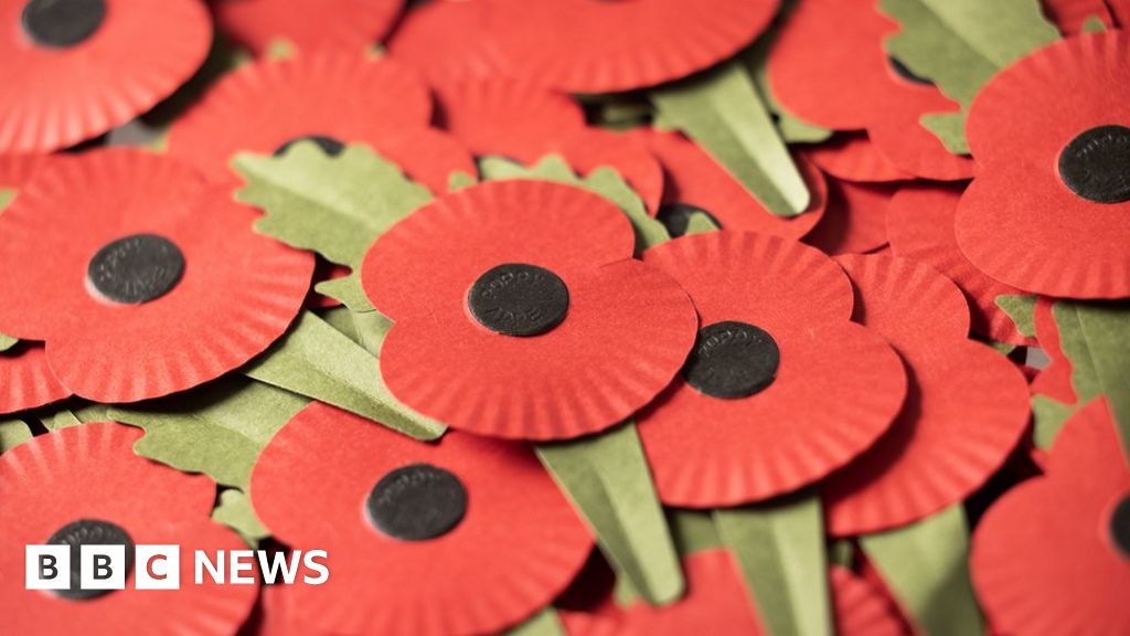 Remembrance Day poppy gets an eco makeover - BBC News