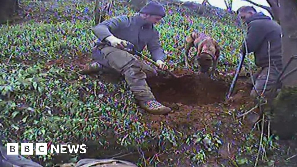 Badger baiting: The story behind the convictions - BBC News