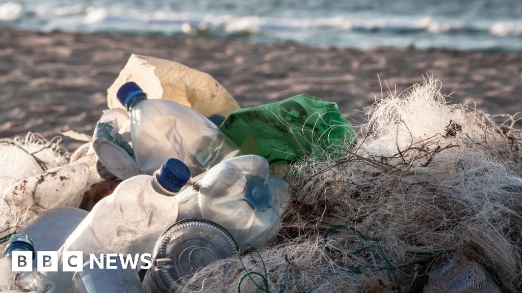 Europe 'takes too much of Earth resources' - BBC News