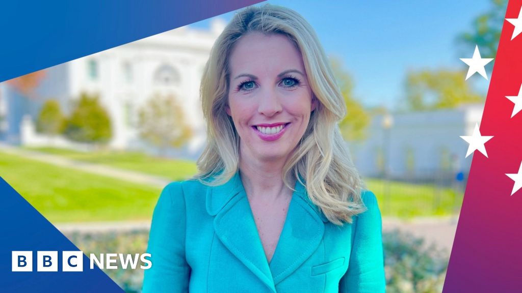 How is the US president elected? - BBC News