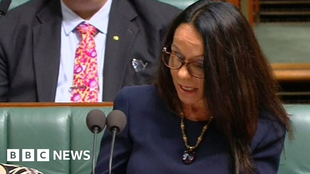 From non-citizen to MP... - BBC News