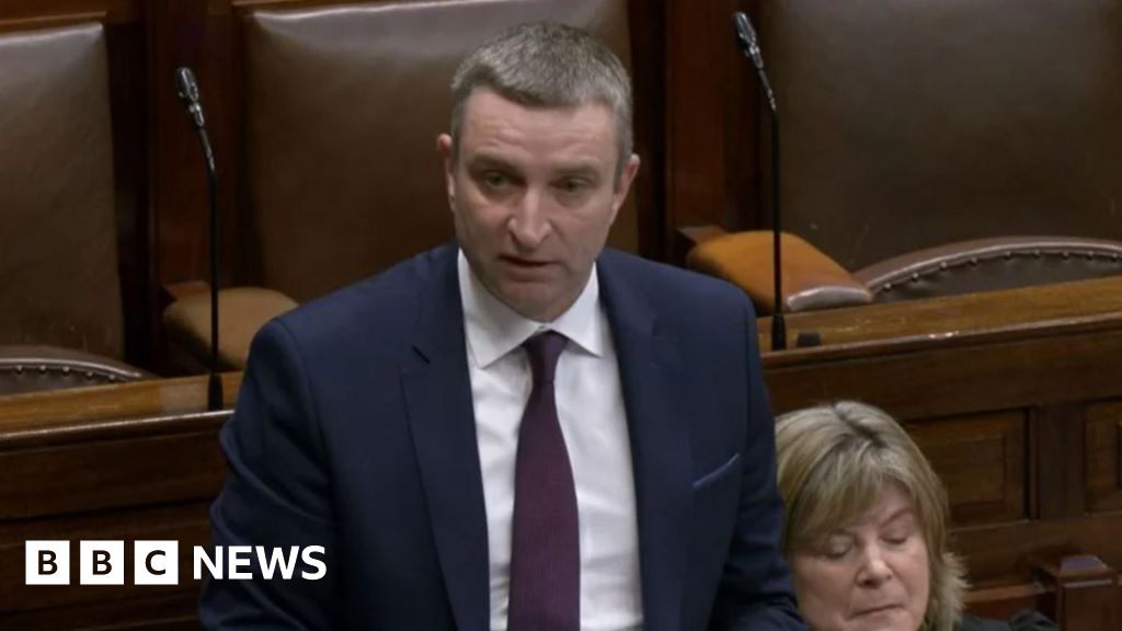 Niall Collins: Irish TD defends wife's purchase of council property ...