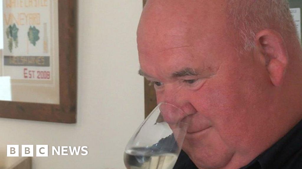 Welsh wine's growing reputation - BBC News