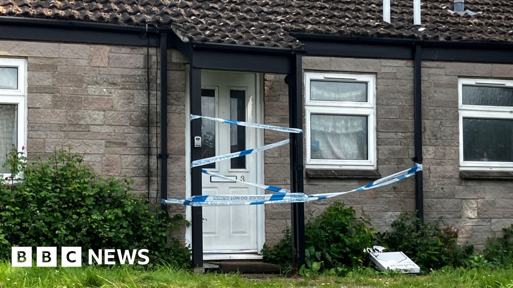Somerset stabbing: Woman to be tried for murder