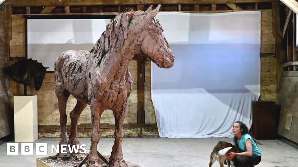 Animal sculptures to be installed on Swindon roundabouts - BBC News