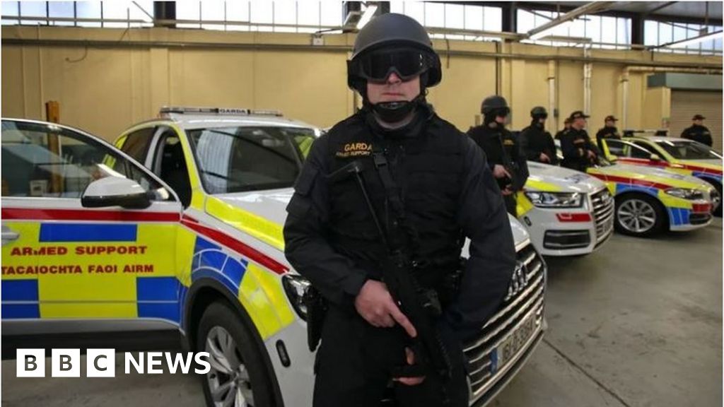 Irish border policing: New armed unit begins operations - BBC News